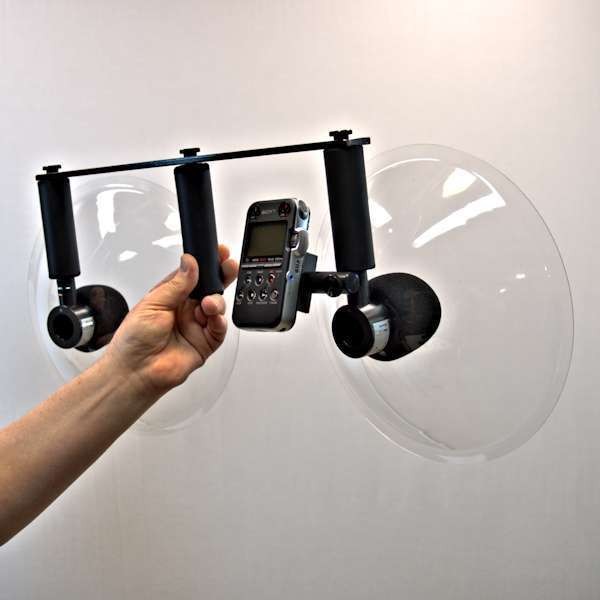 microfono parabolare stereo